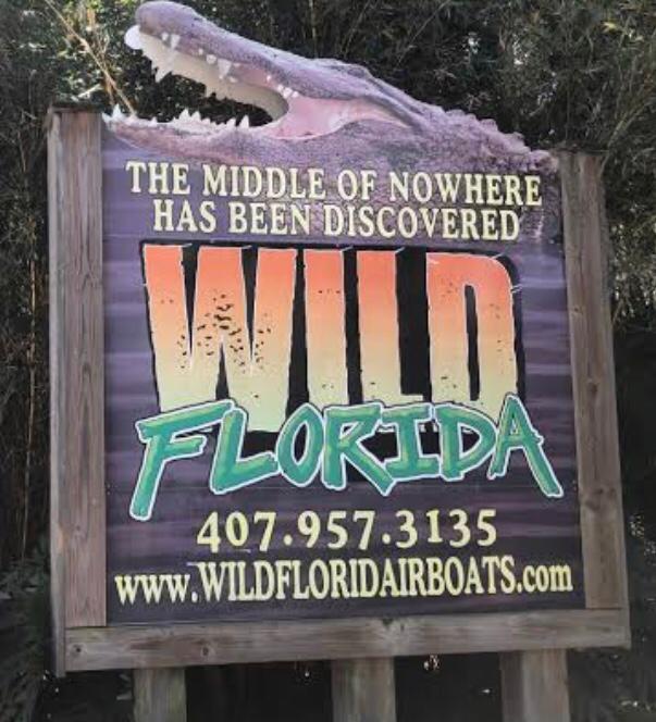 Wild Flórida Drive-Thru – Conhecendo a Disney